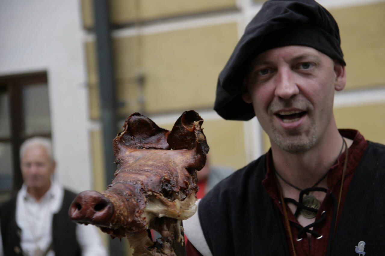 Landsknechte - Das Neuburger Schloßfest